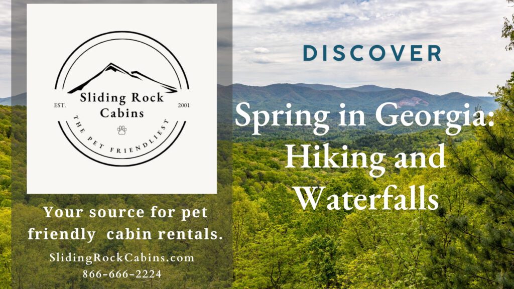 Spring Hiking & Waterfalls in Georgia: Your Ultimate Outdoor Guide